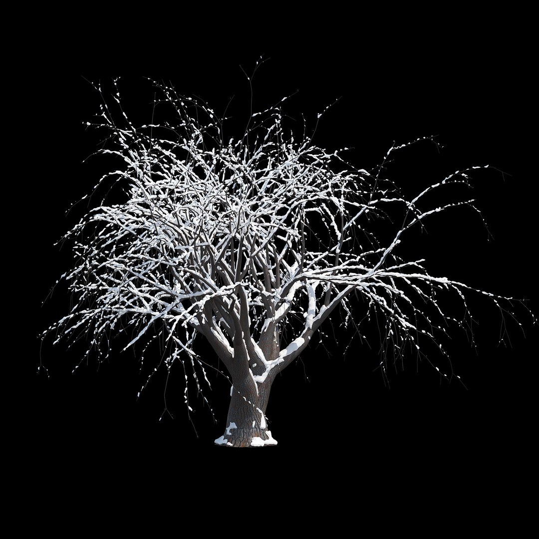 3D Winter Tree 022 Model - TurboSquid 1232840