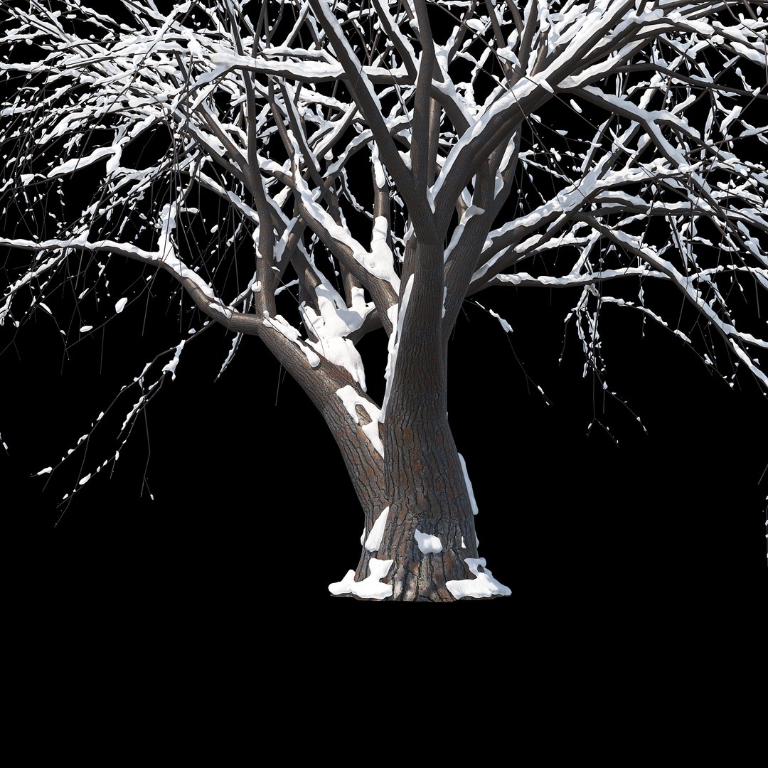 3D Winter Tree 022 Model - TurboSquid 1232840