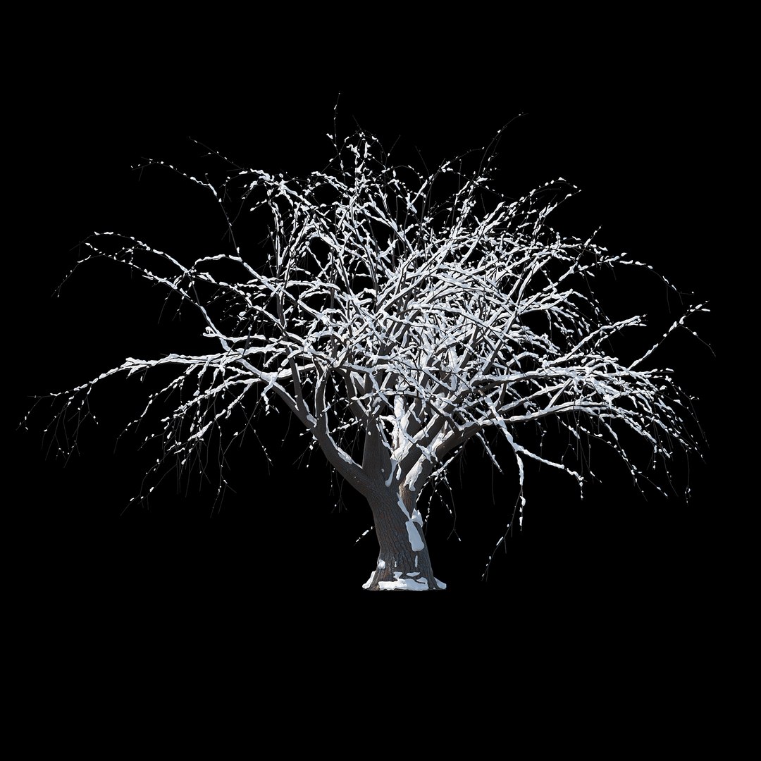 3D Winter Tree 022 Model - TurboSquid 1232840