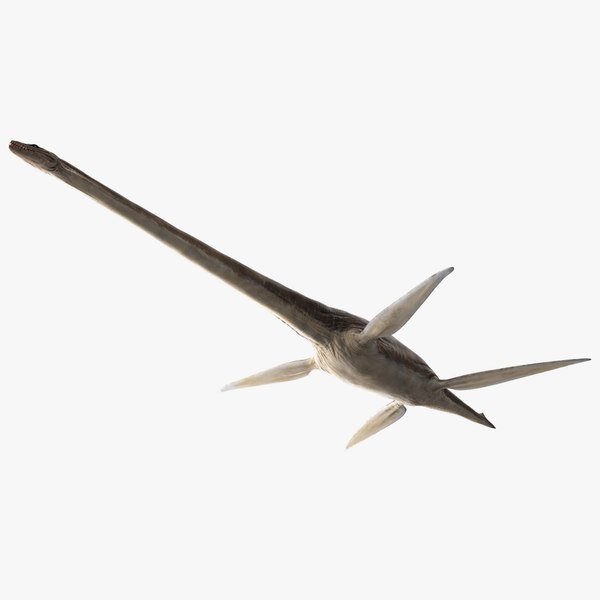 Plesiosaur dinosaur plesiosaurus model - TurboSquid 1313047