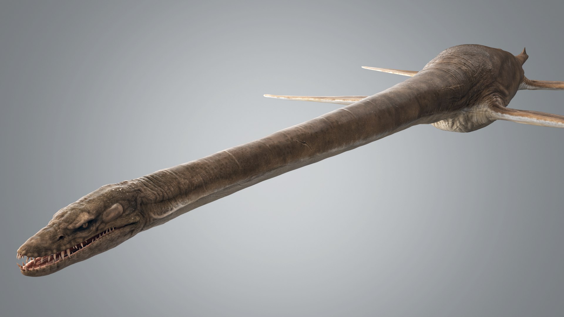 Plesiosaur Dinosaur Plesiosaurus Model - TurboSquid 1313047