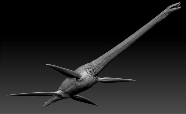 Plesiosaur dinosaur plesiosaurus model - TurboSquid 1313047