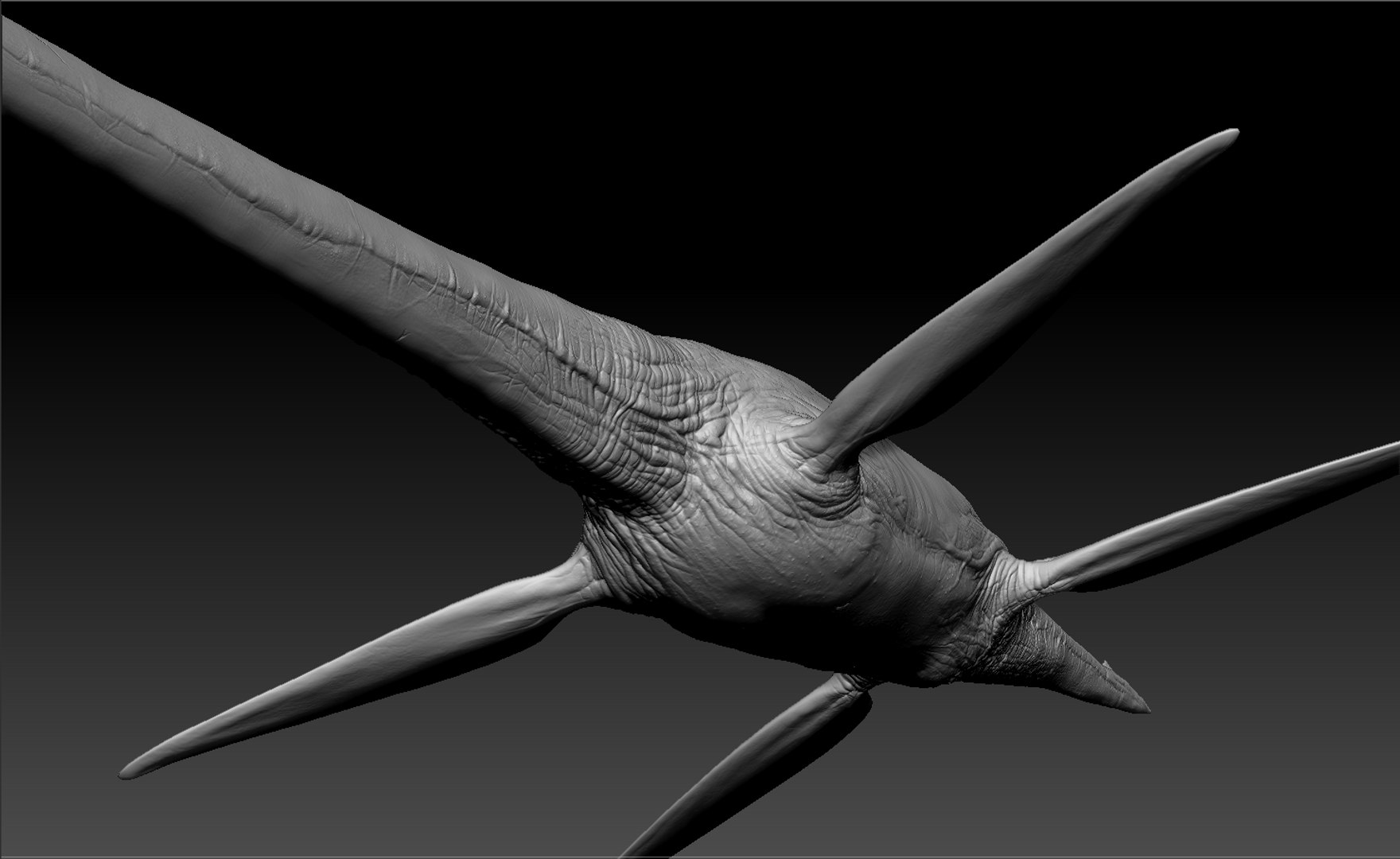 Plesiosaur dinosaur plesiosaurus model - TurboSquid 1313047