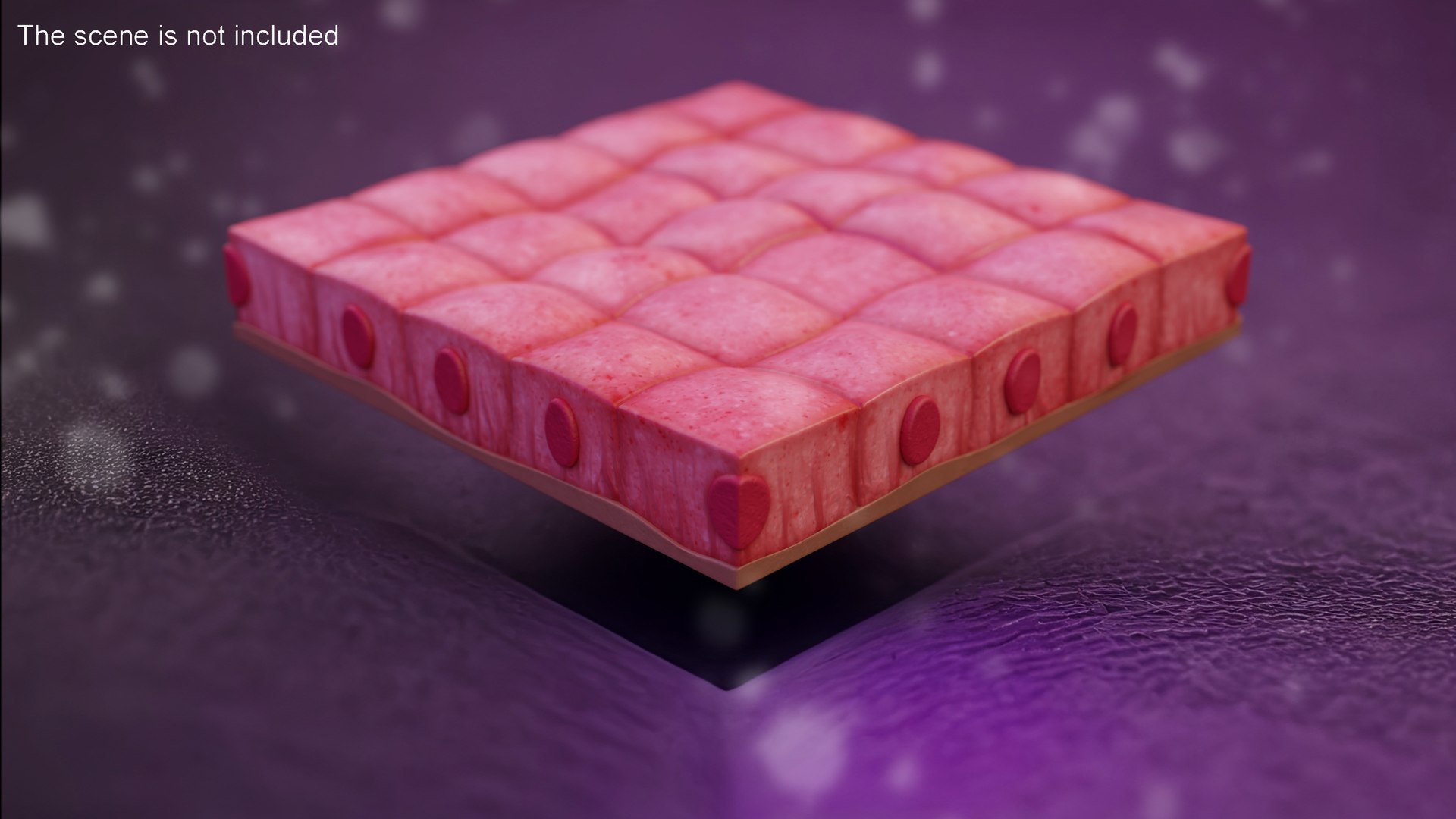 3D Model Cuboidal Epithelium - TurboSquid 2235602