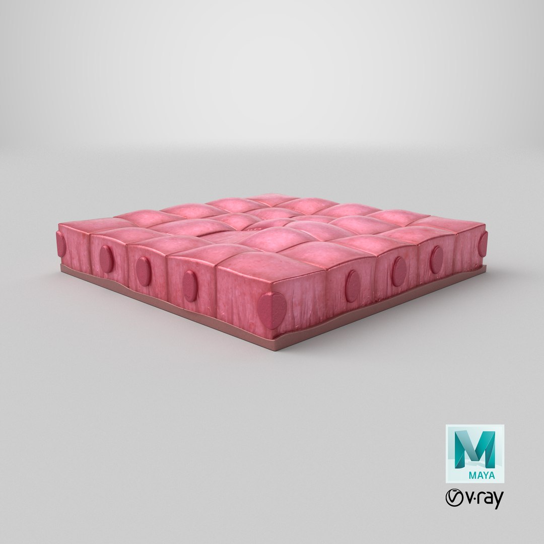 3D Model Cuboidal Epithelium - TurboSquid 2235602