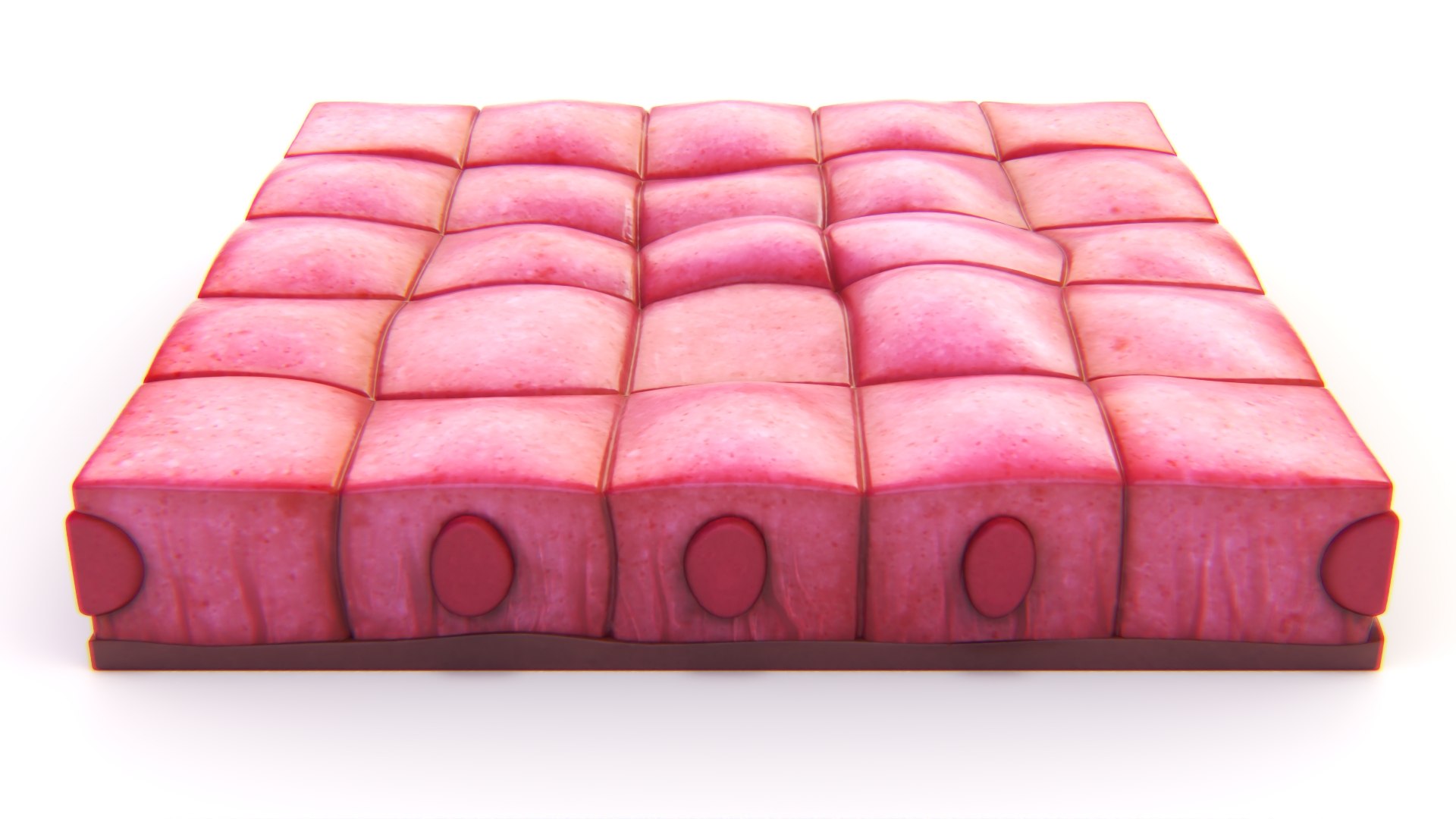 3D Model Cuboidal Epithelium - TurboSquid 2235602