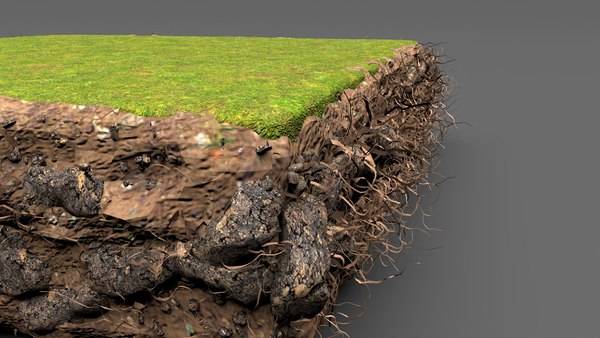 3D FBX Grass Cross Section
