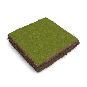3D Plants Soil Models - Browse & Download Formats - TurboSquid