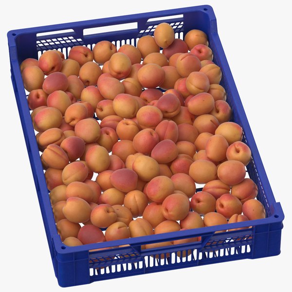 Apricot 3D Models for Download | TurboSquid