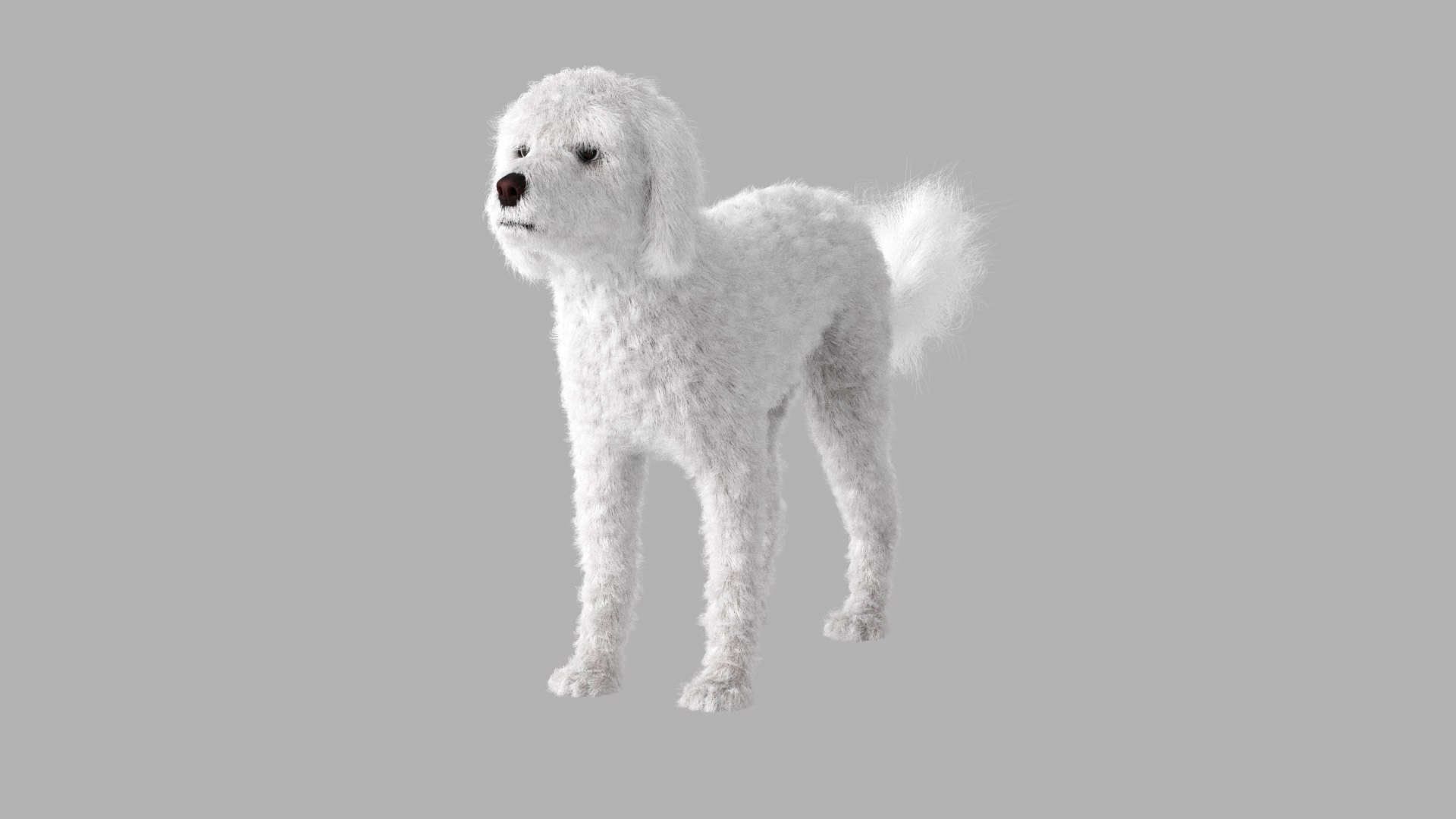 Animated Retrodoodle Dog Fur 3D - TurboSquid 2304427