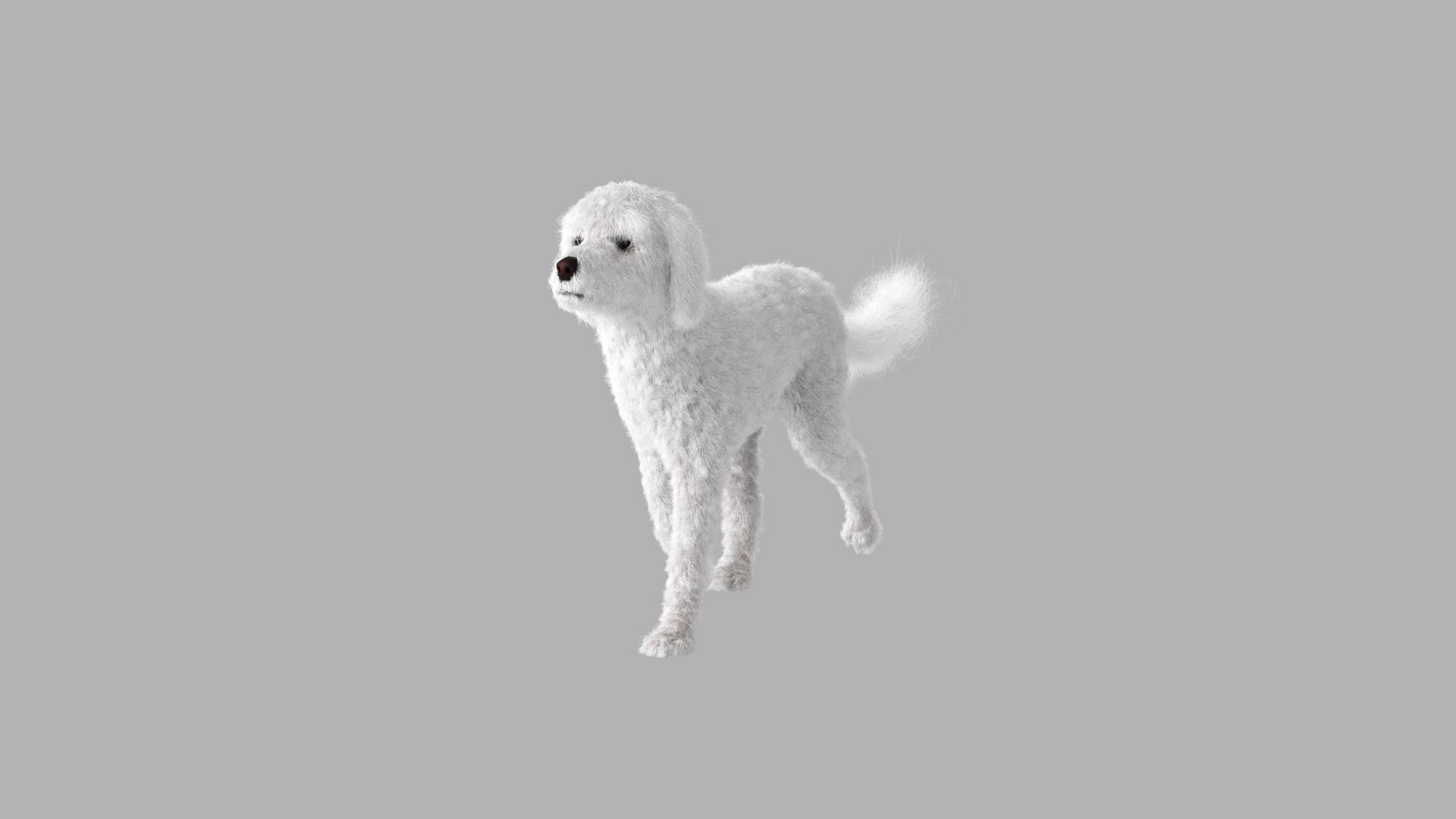 Animated Retrodoodle Dog Fur 3D - TurboSquid 2304427
