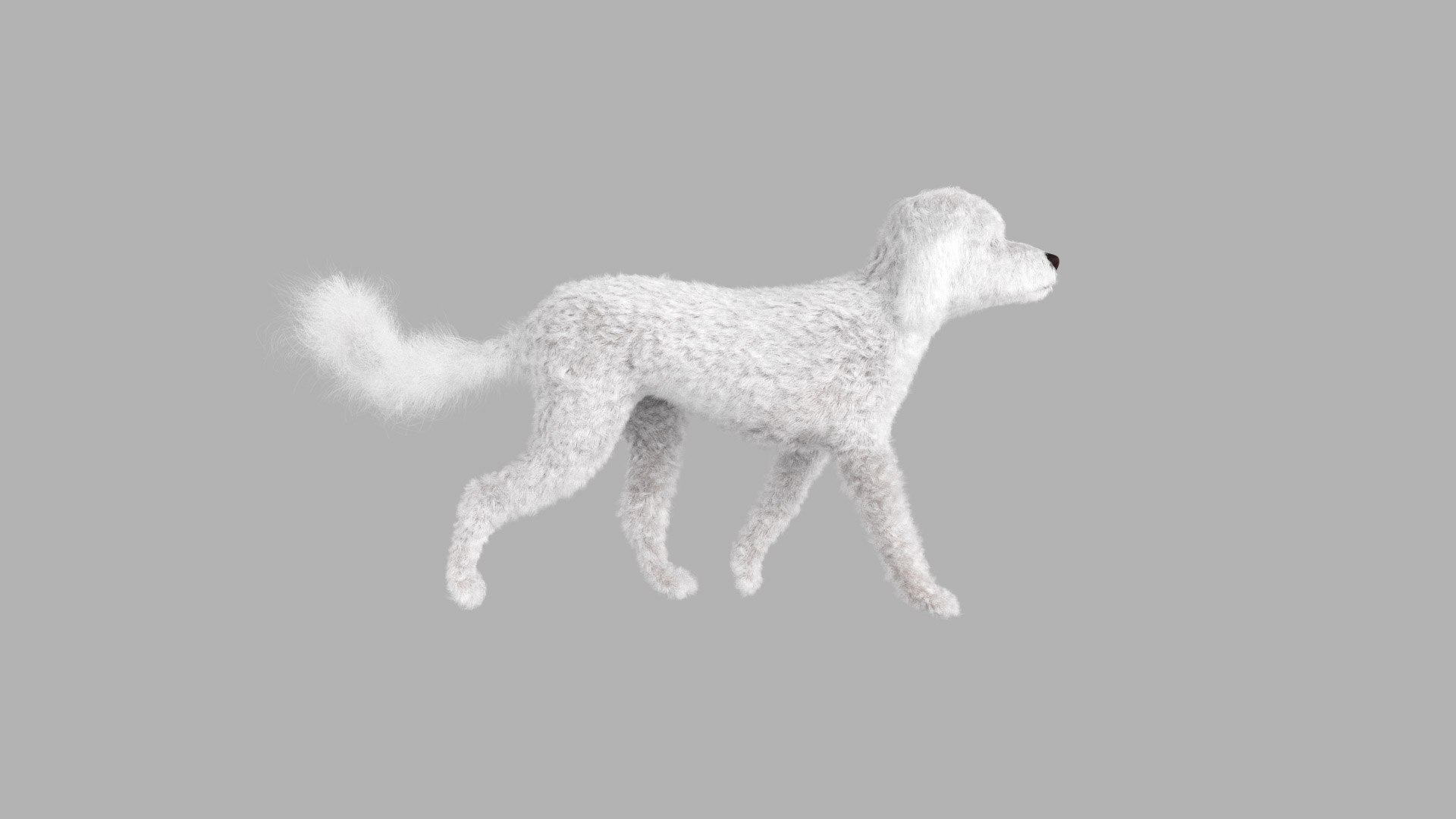 Animated Retrodoodle Dog Fur 3D - TurboSquid 2304427