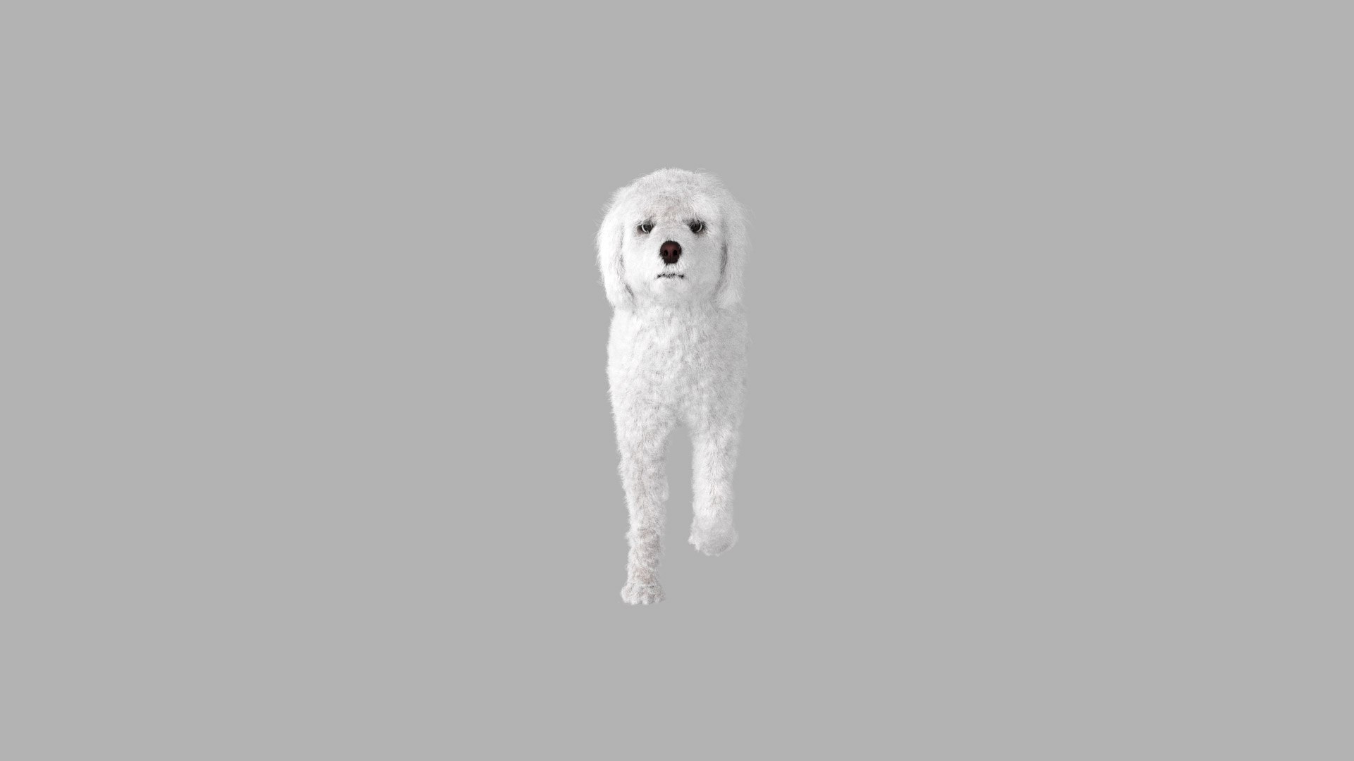 Animated Retrodoodle Dog Fur 3D - TurboSquid 2304427