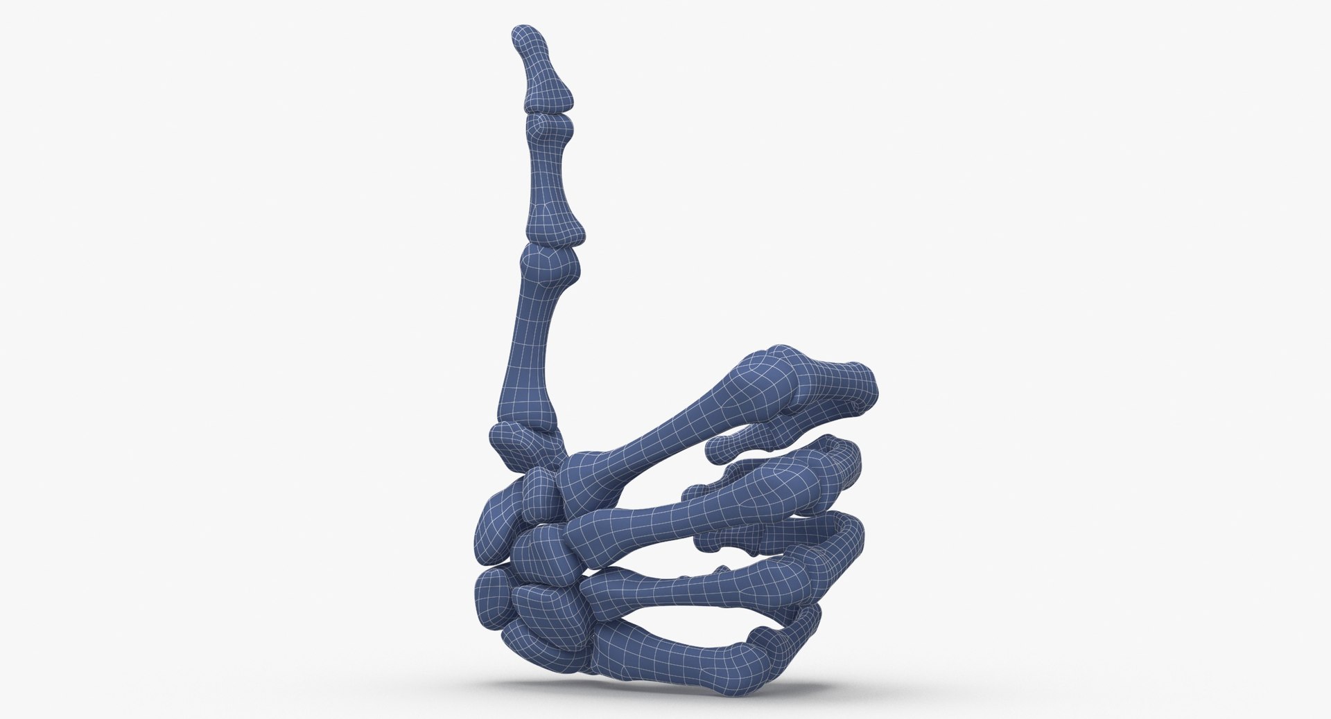 Human Hand Bones Thumbs 3D Model - TurboSquid 1608875