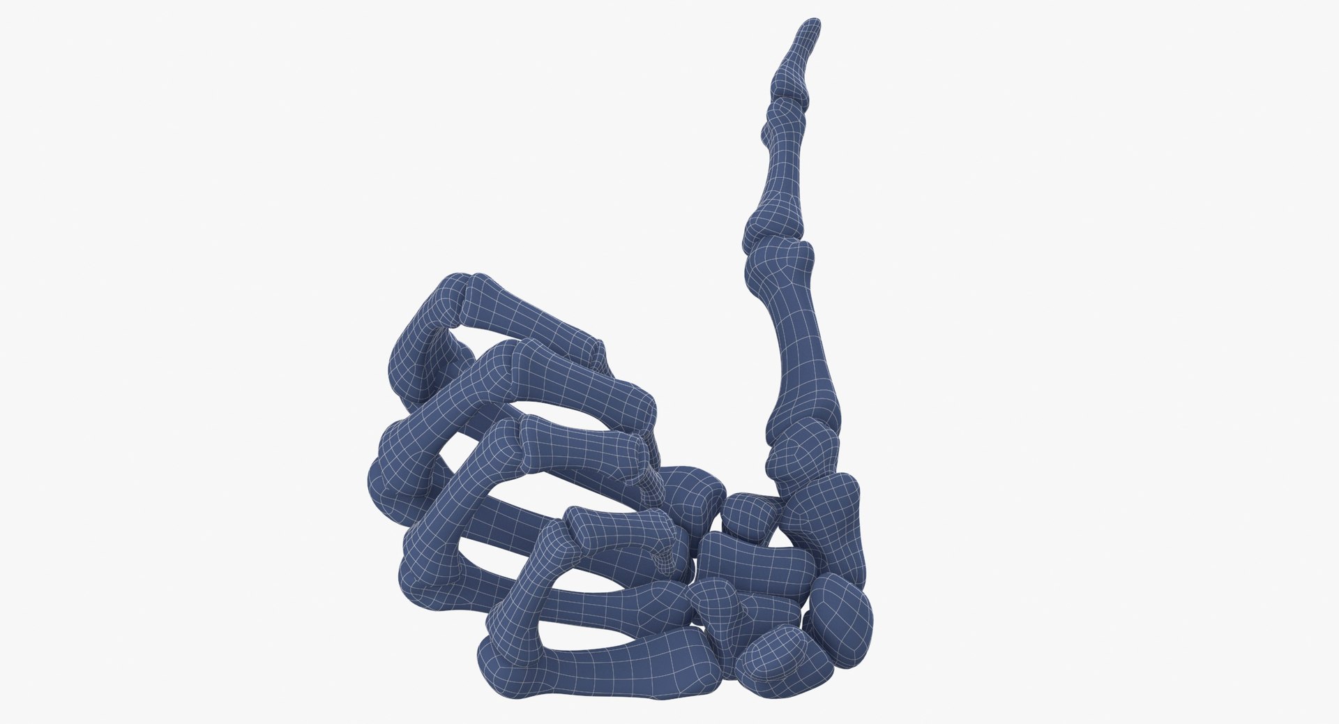 Human Hand Bones Thumbs 3D Model - TurboSquid 1608875