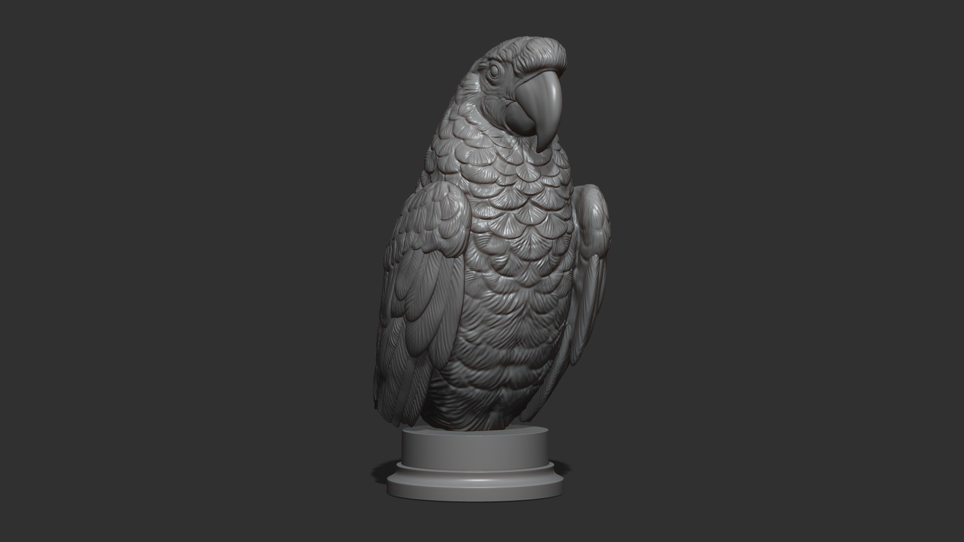 Parrot Ara Bust 3D Model - TurboSquid 2235929