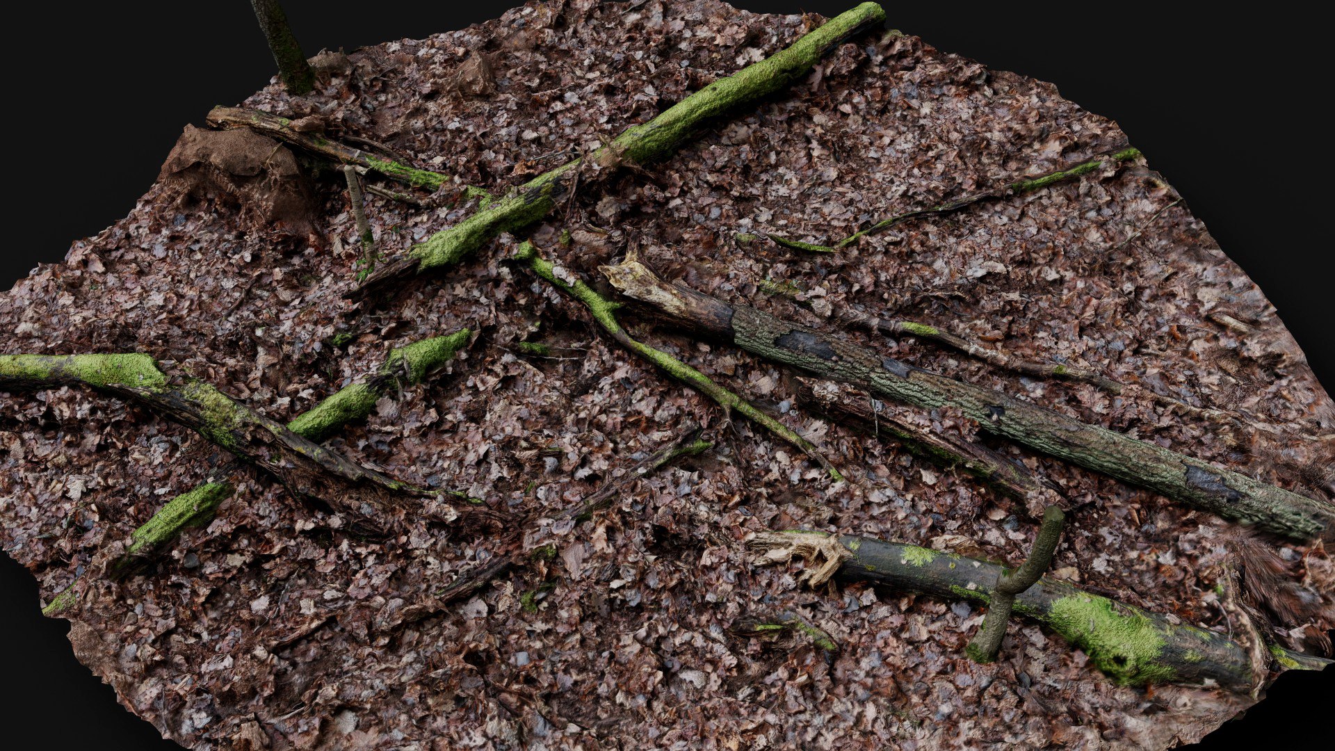 Forest Ground Trees Branches Debris Pt2 Photogrammetry 3D - TurboSquid ...