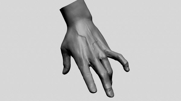 modelo 3d Modelos de mano - TurboSquid 1879095
