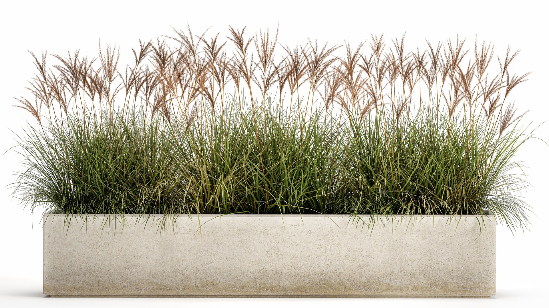 Potted Reeds For Landscaping 1064 3D Model - TurboSquid 1814012
