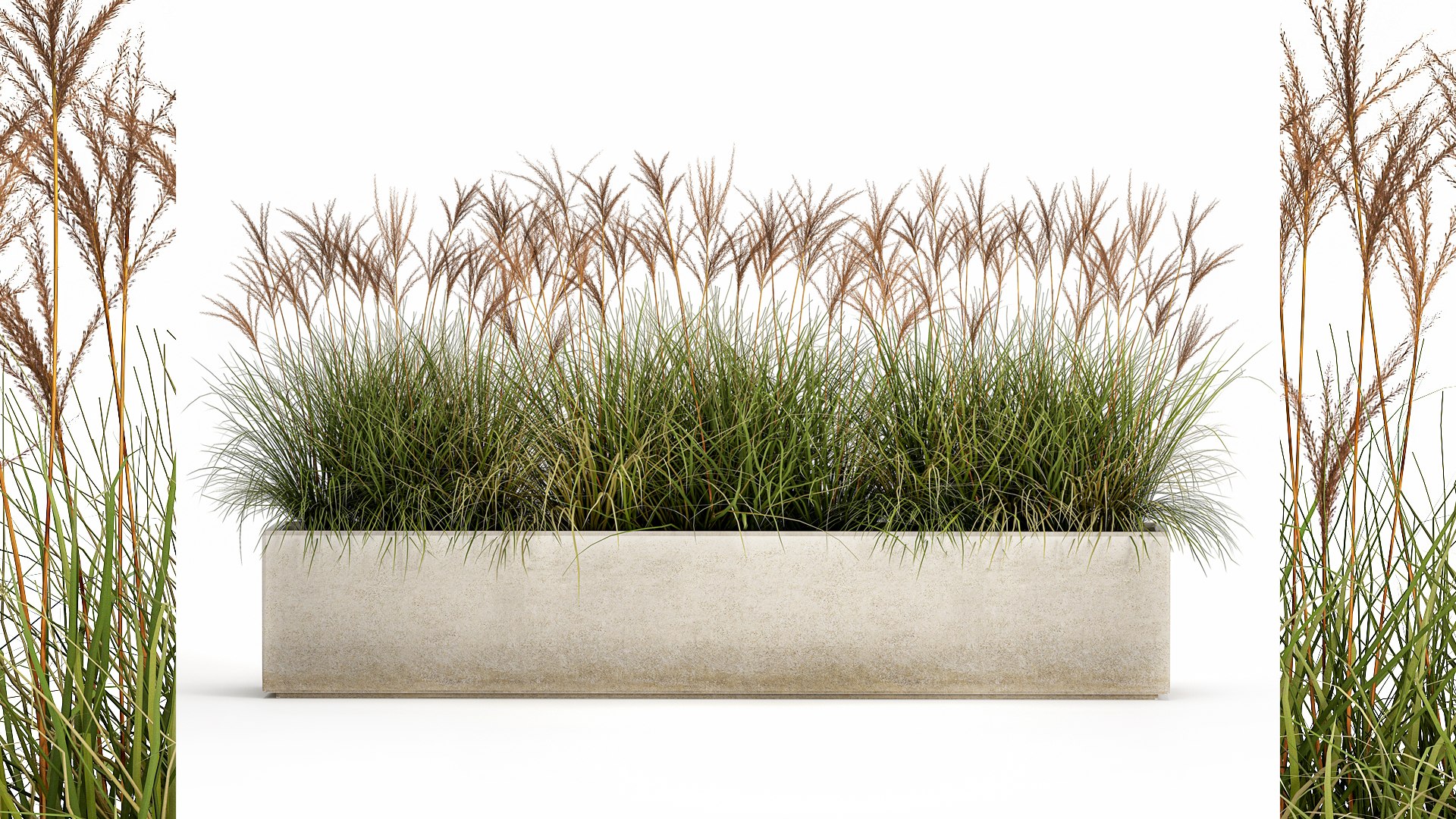 Potted Reeds For Landscaping 1064 3D Model - TurboSquid 1814012