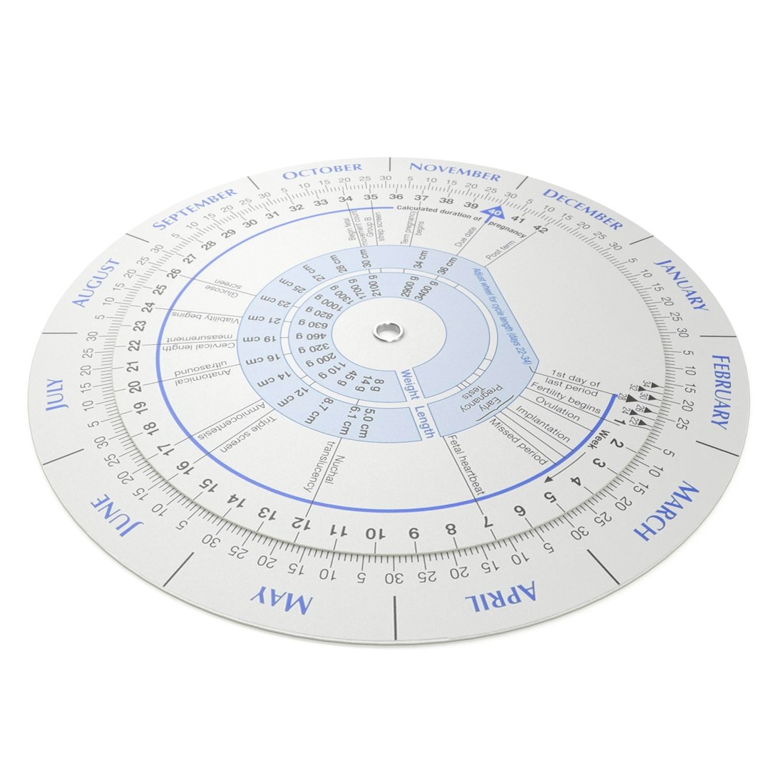 Pregnancy Wheel 3D - TurboSquid 1795527