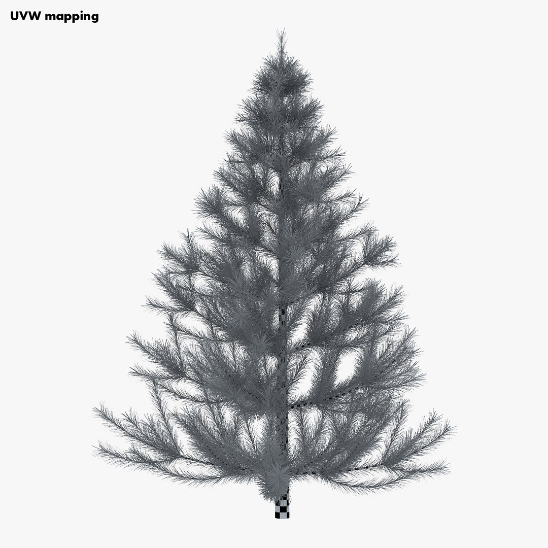 3D Model Conifer Tree 150cm V - TurboSquid 1654342