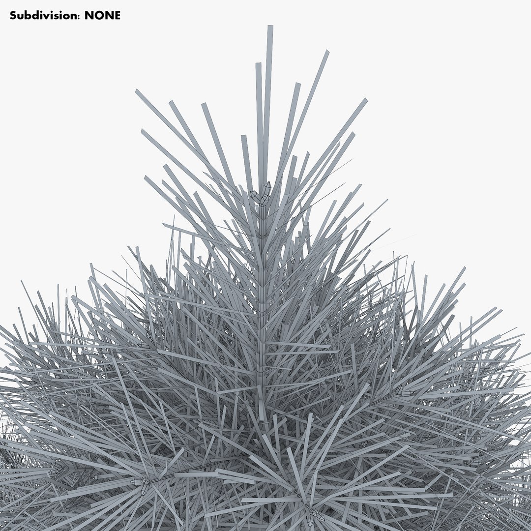 3D Model Conifer Tree 150cm V - TurboSquid 1654342