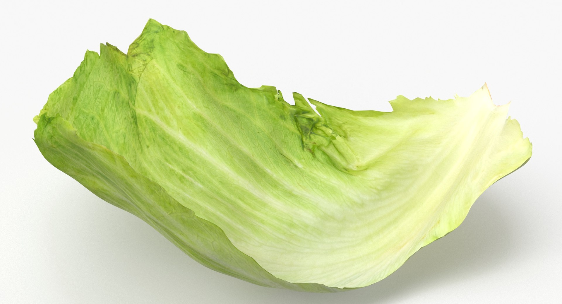 3D Lettuce Leaf 02 Model - TurboSquid 1838807