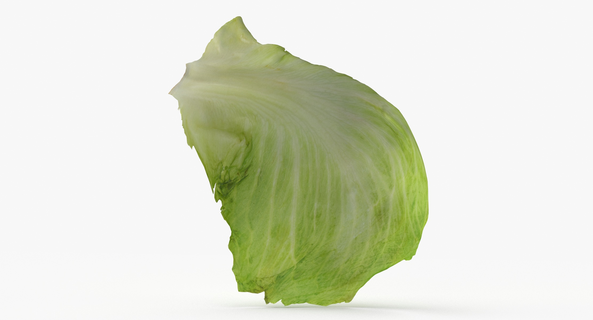 3D Lettuce Leaf 02 Model - TurboSquid 1838807