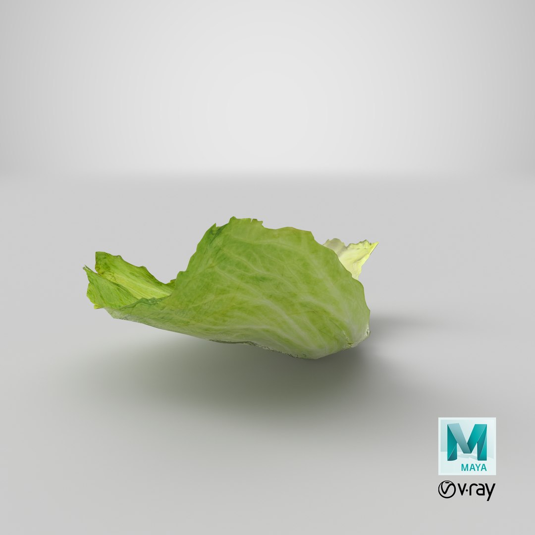 3D Lettuce Leaf 02 Model - TurboSquid 1838807