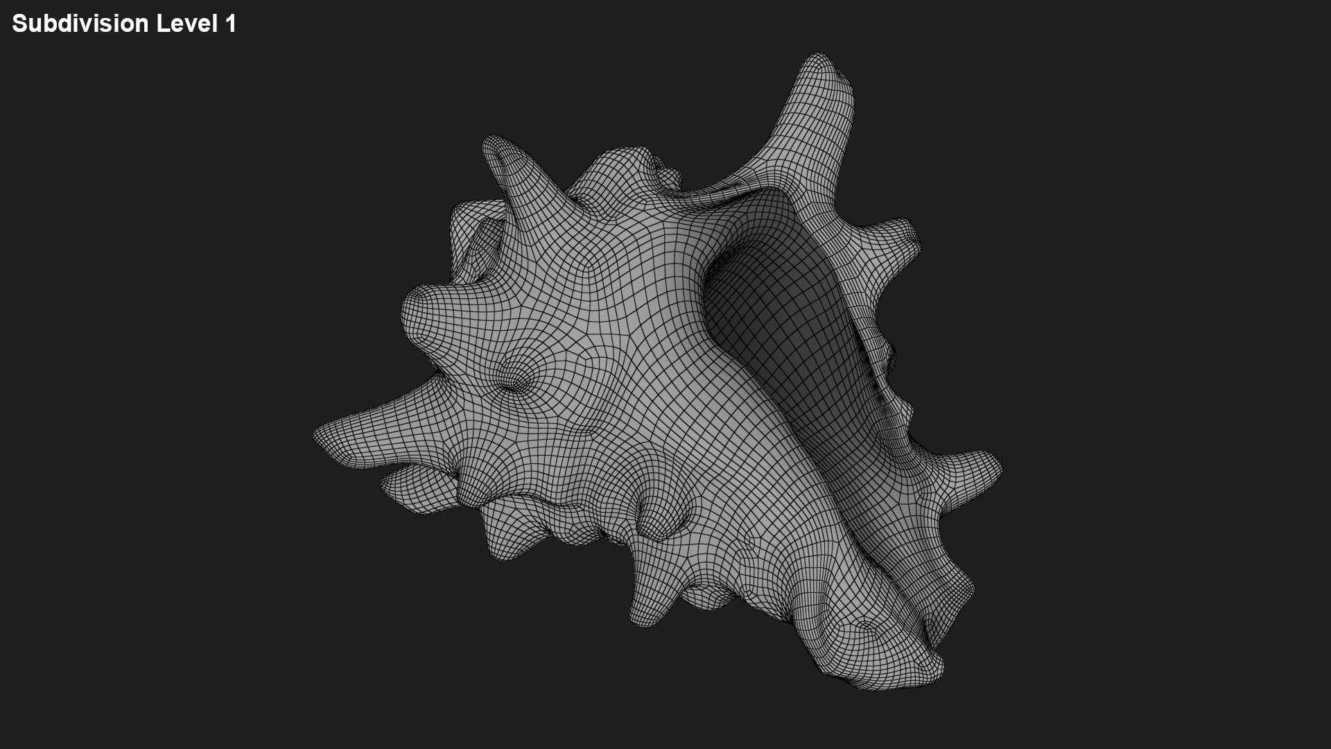 3D model Vasum Turbinellus - TurboSquid 2089430