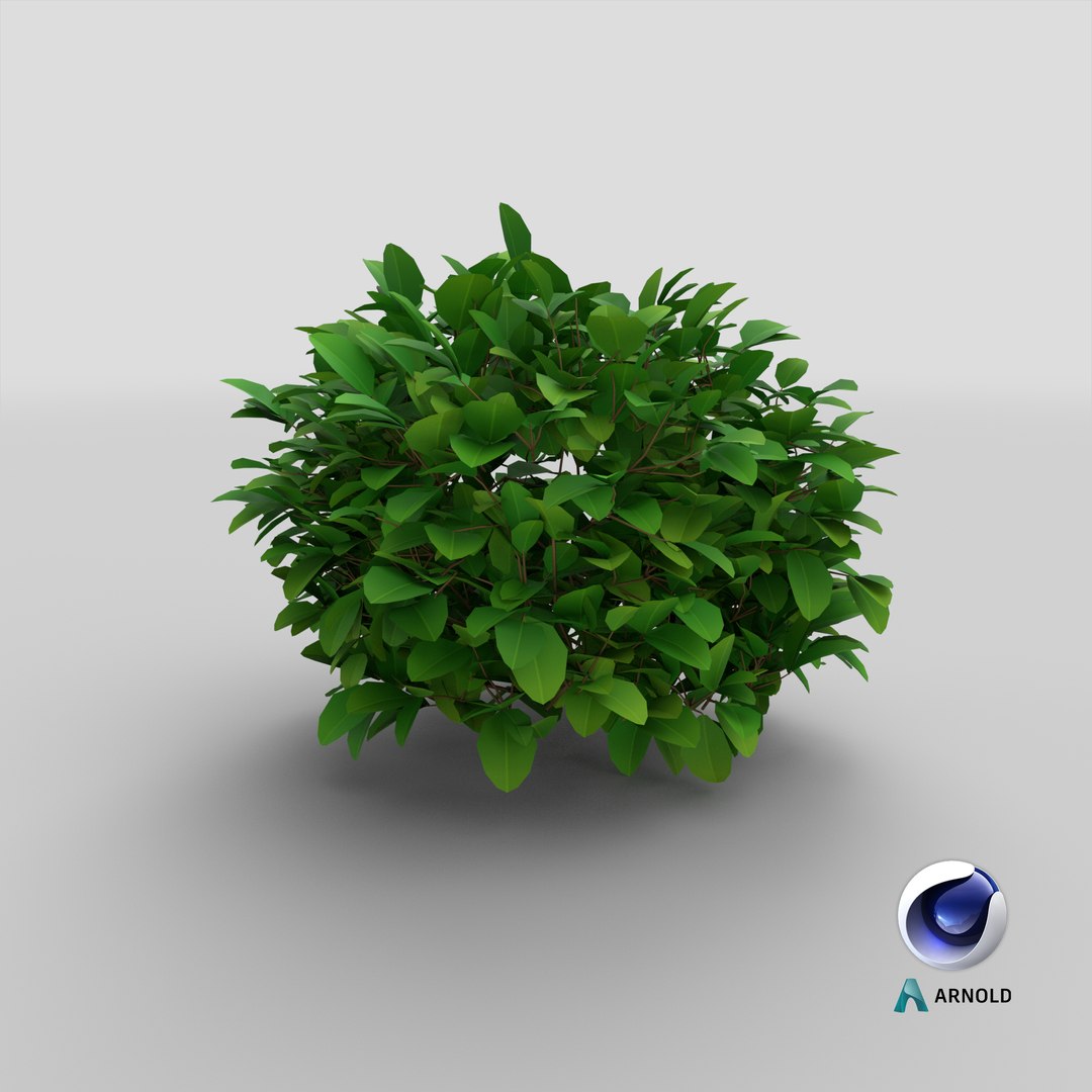 Cartoon Bush 01 3D - TurboSquid 1941410