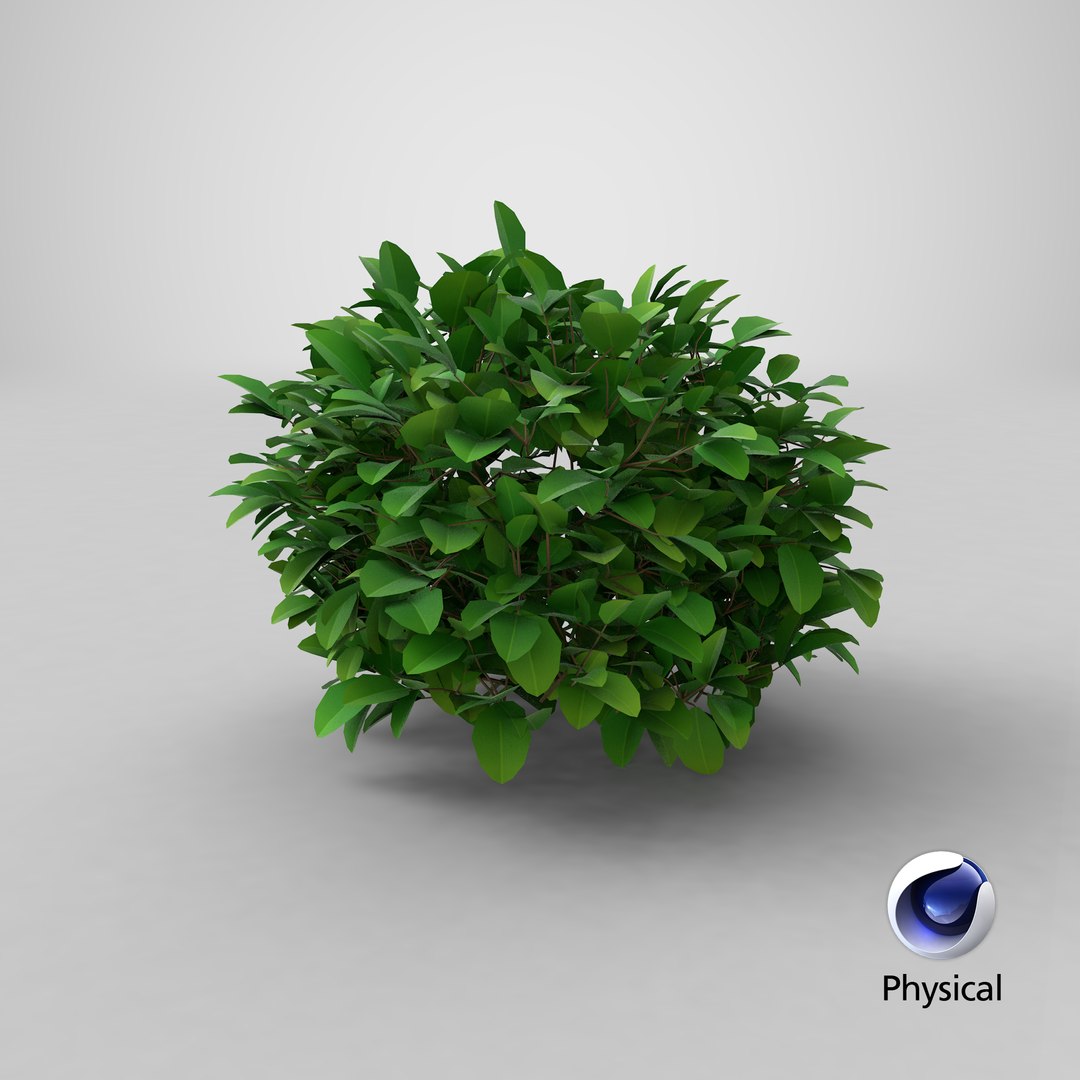 Cartoon Bush 01 3D - TurboSquid 1941410