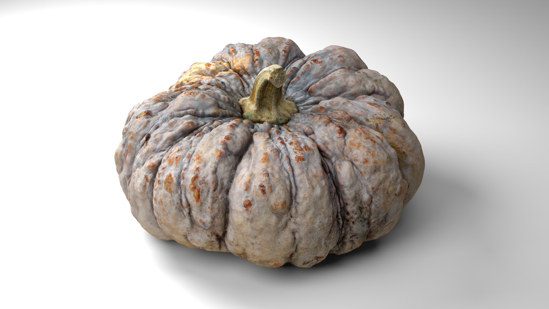 3D Warty Pumpkin - Photorealistic Scan - TurboSquid 2447765