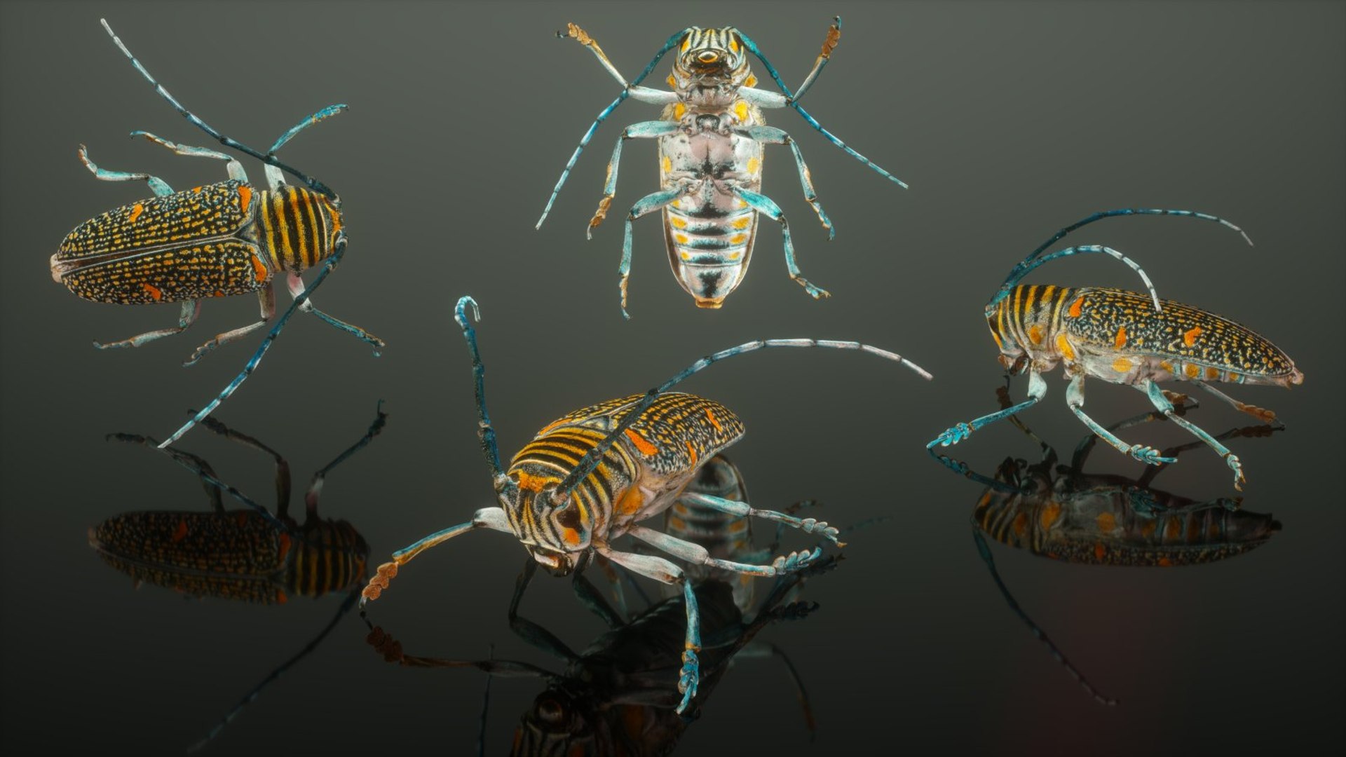 3d Model Insect Master