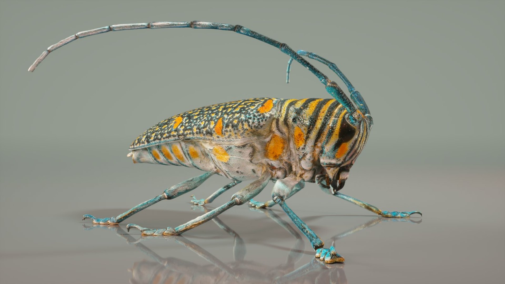 3d Model Insect Master