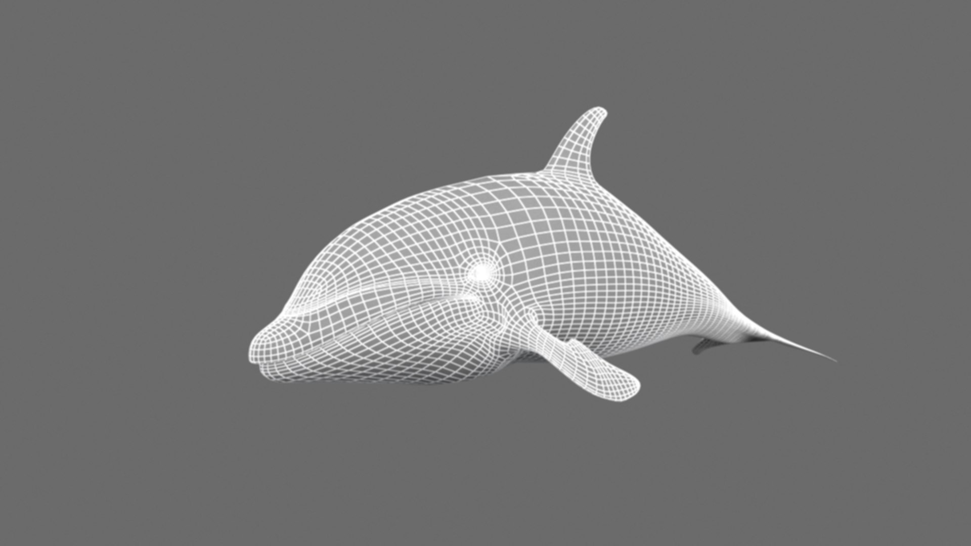 3D Dolphin - TurboSquid 1167440