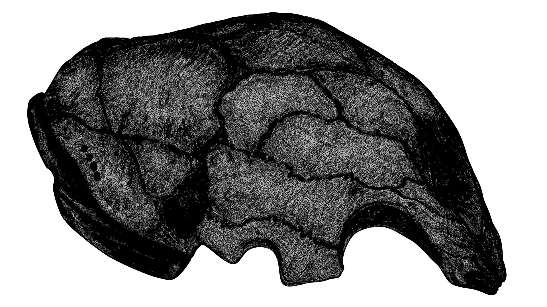 FERAL HELMET 3D MODEL PRINTABLE - STL - FBX - MAX - BLEND 3D Model ...