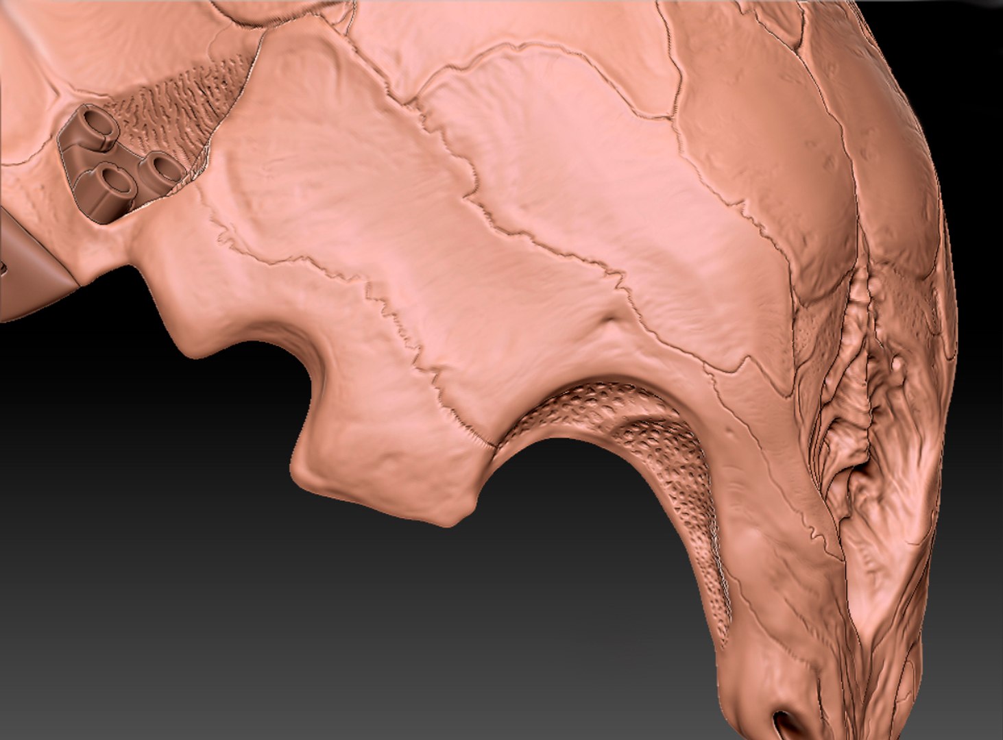 FERAL HELMET 3D MODEL PRINTABLE - STL - FBX - MAX - BLEND 3D Model ...