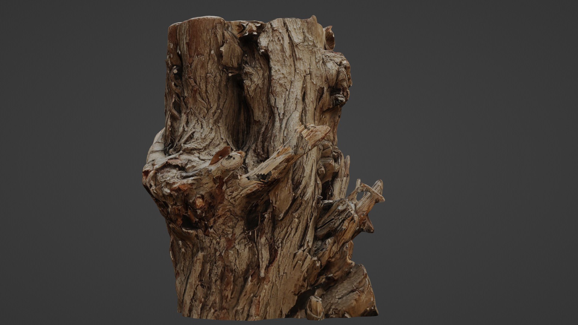 3D Tree Stump Scan - TurboSquid 2330058