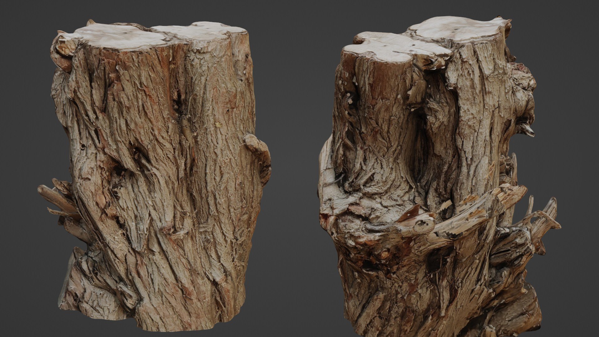 3D Tree Stump Scan - TurboSquid 2330058