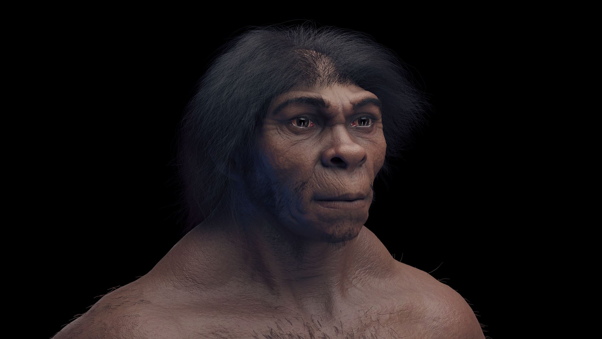 Homo Erectus Male Model - TurboSquid 2099559