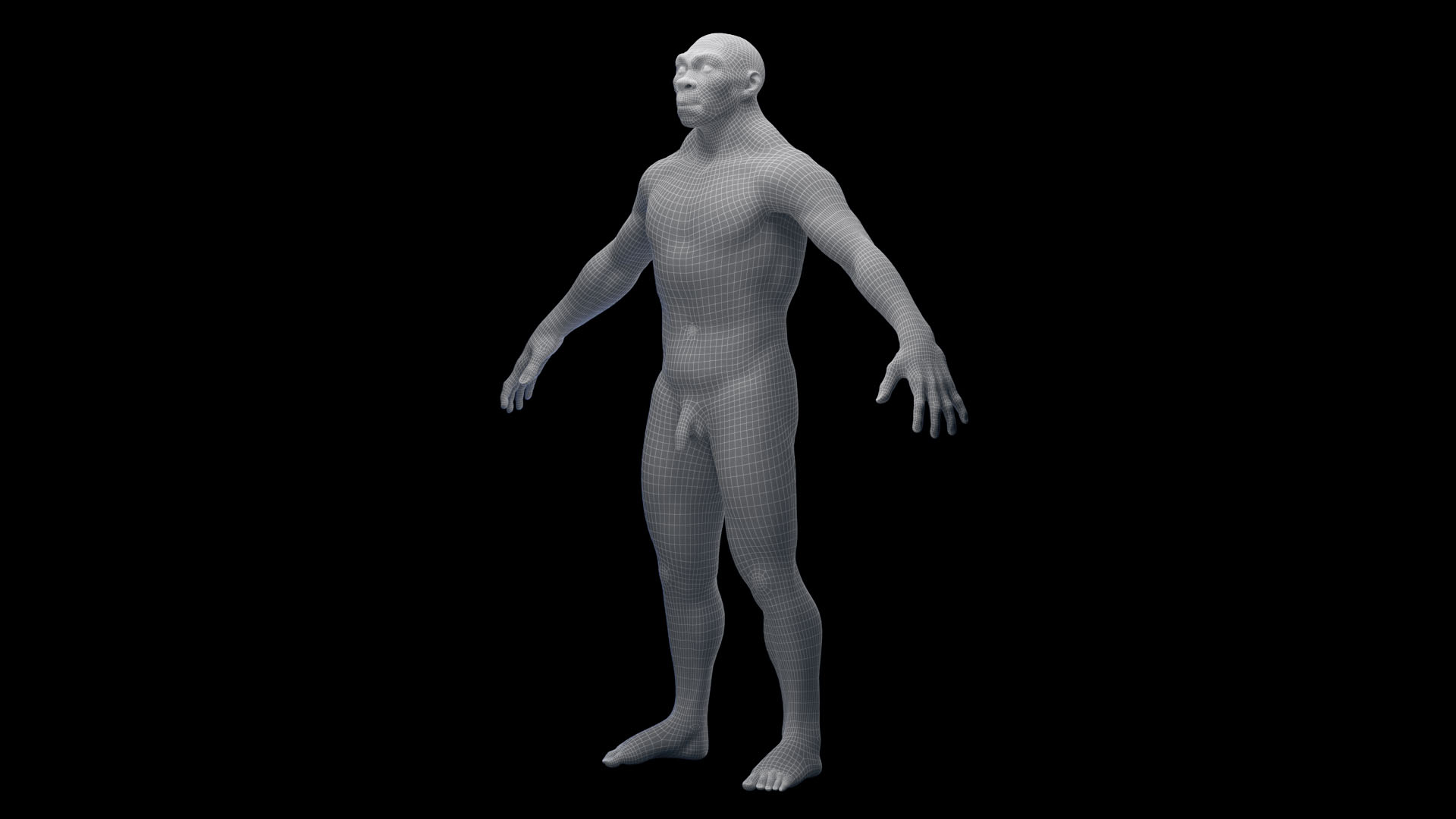 modelo 3d Homo Erectus Male - TurboSquid 2099559
