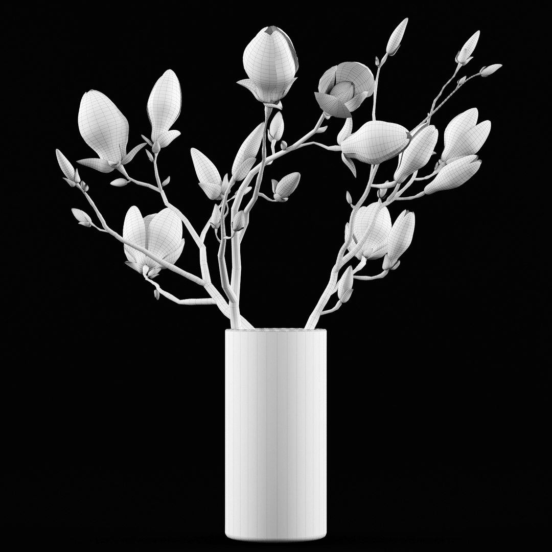 3d Model Bouquet Magnolia Flowers