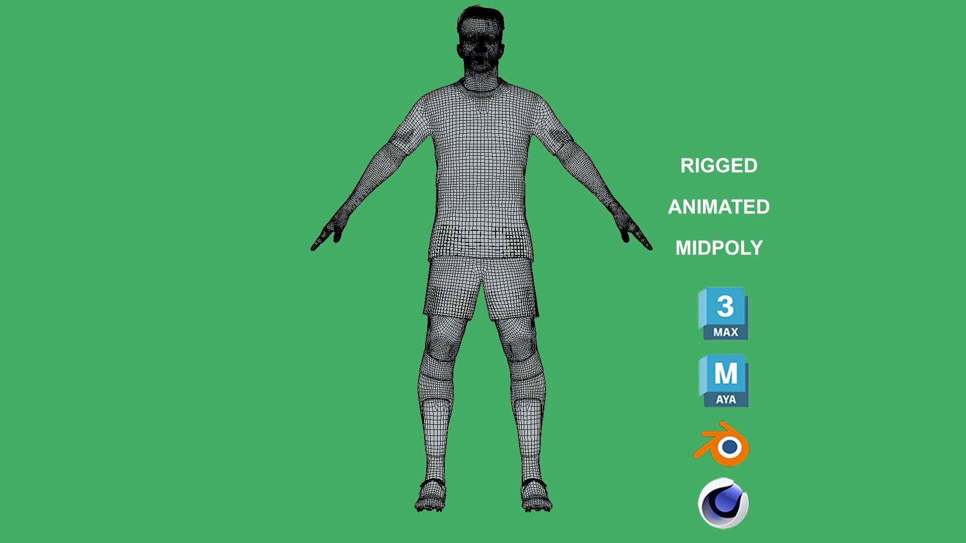 3D Rigged Marcos Reus Borussia Dortmund 2024 - TurboSquid 2119769