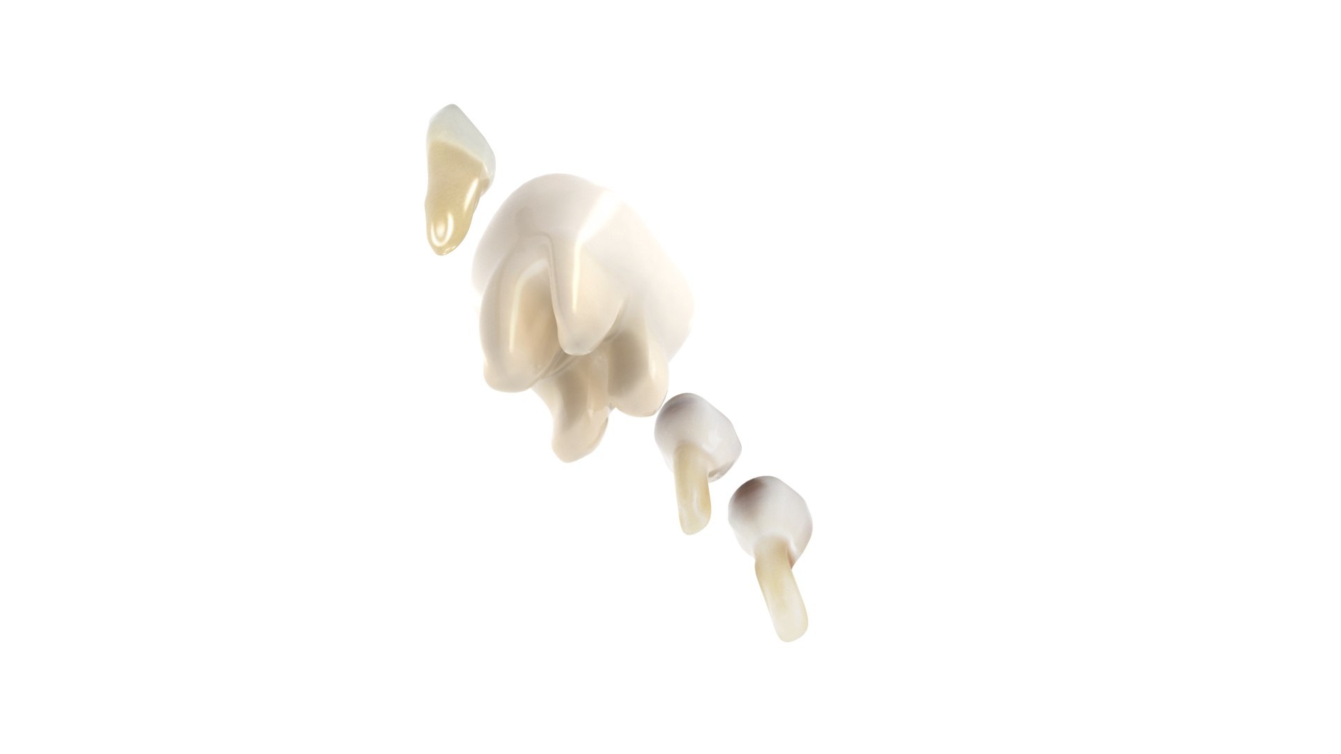 3D Human Teeths Set Model - TurboSquid 1922252