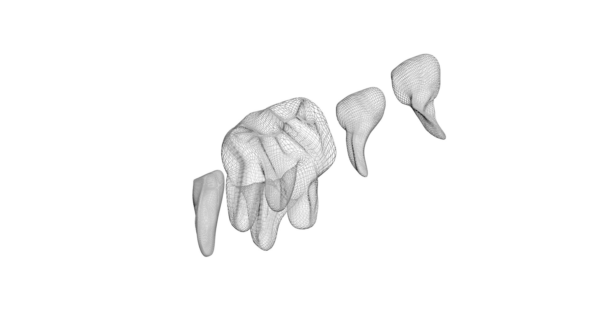 3D Human Teeths Set Model - TurboSquid 1922252