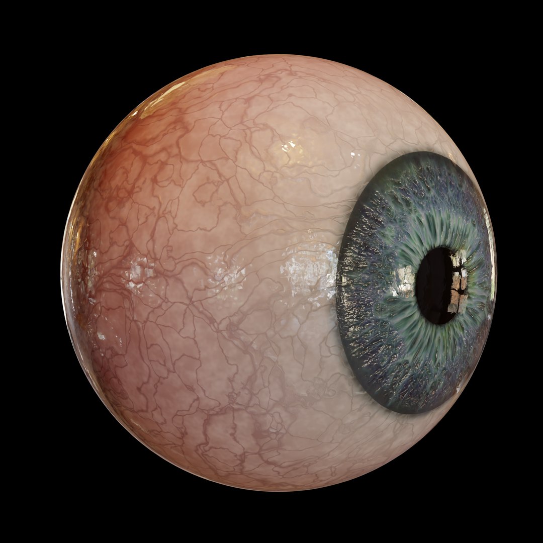 Hyper-Realistic Eye Rig Blender 3D - TurboSquid 1992466