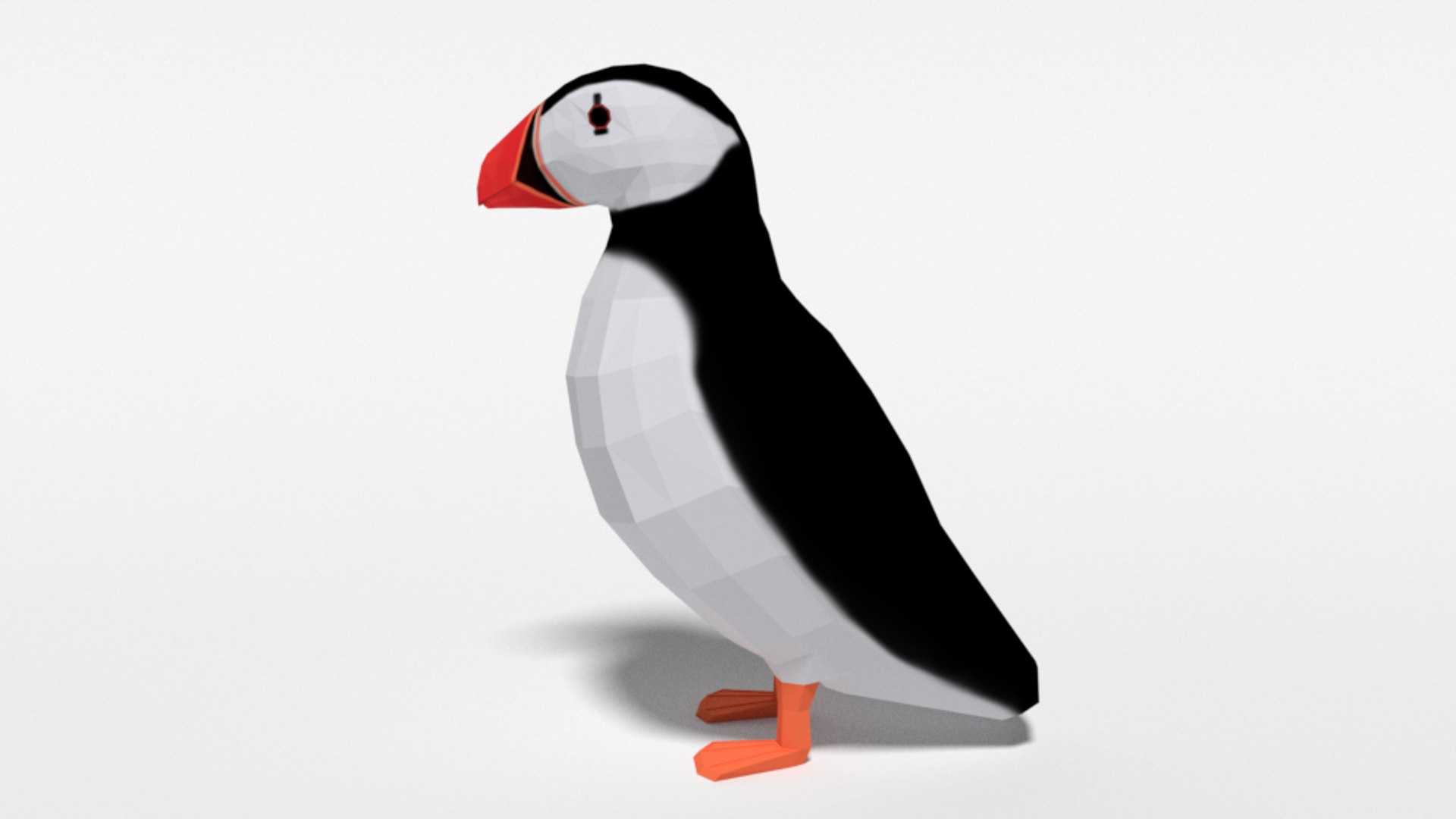 Puffin Blender Ready Model - TurboSquid 1534373