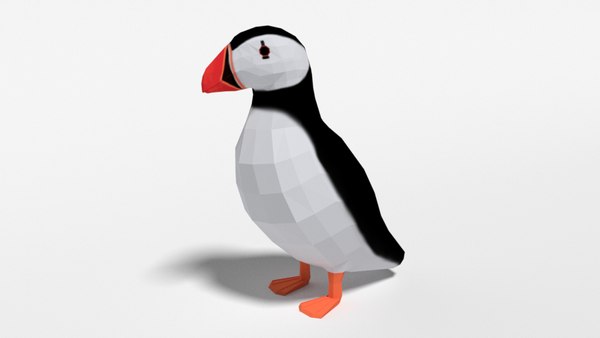 3D Puffin Models | TurboSquid